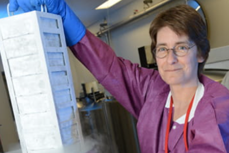 申し込みフォーム | インディアナ大学 医学部